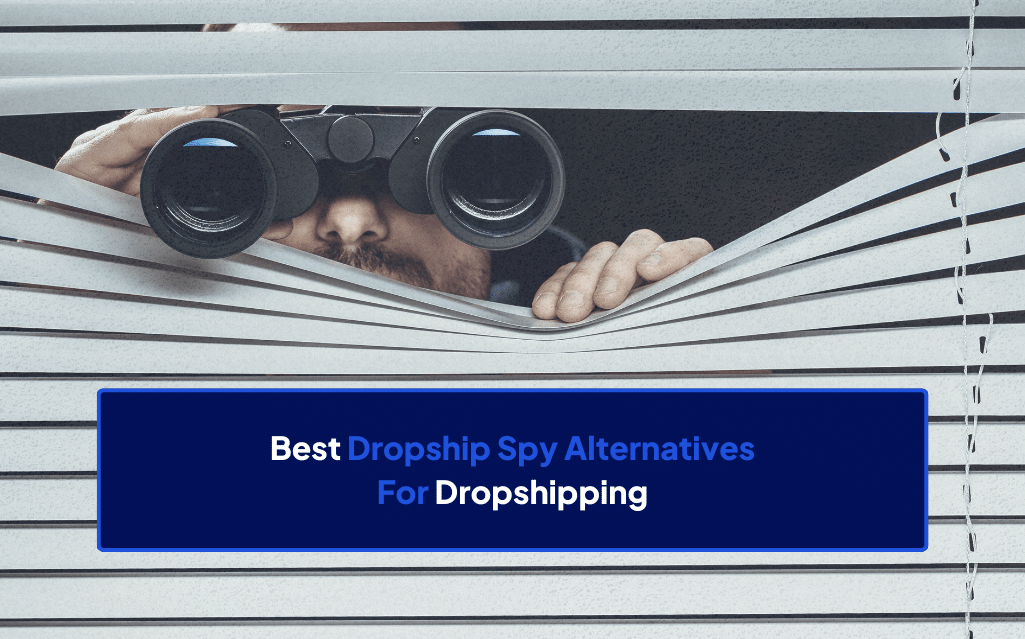8 Best Dropship Spy Alternatives For Dropshipping | Dropship